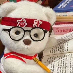 幸运鹅1- 