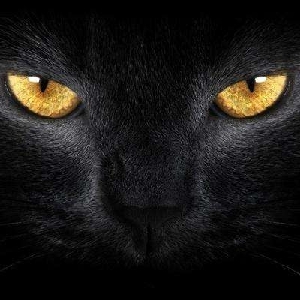 黑猫的地理杂谈 