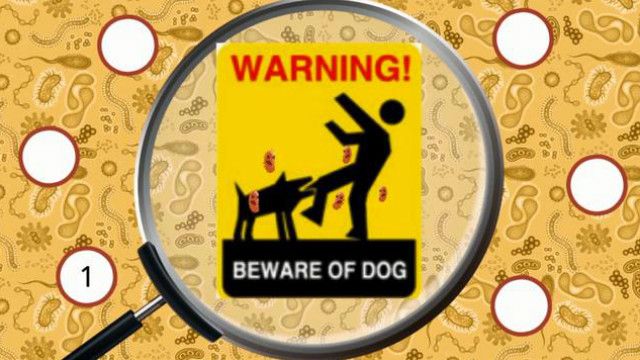 感染了狂犬病毒就会像疯狂的丧尸一样咬人吗