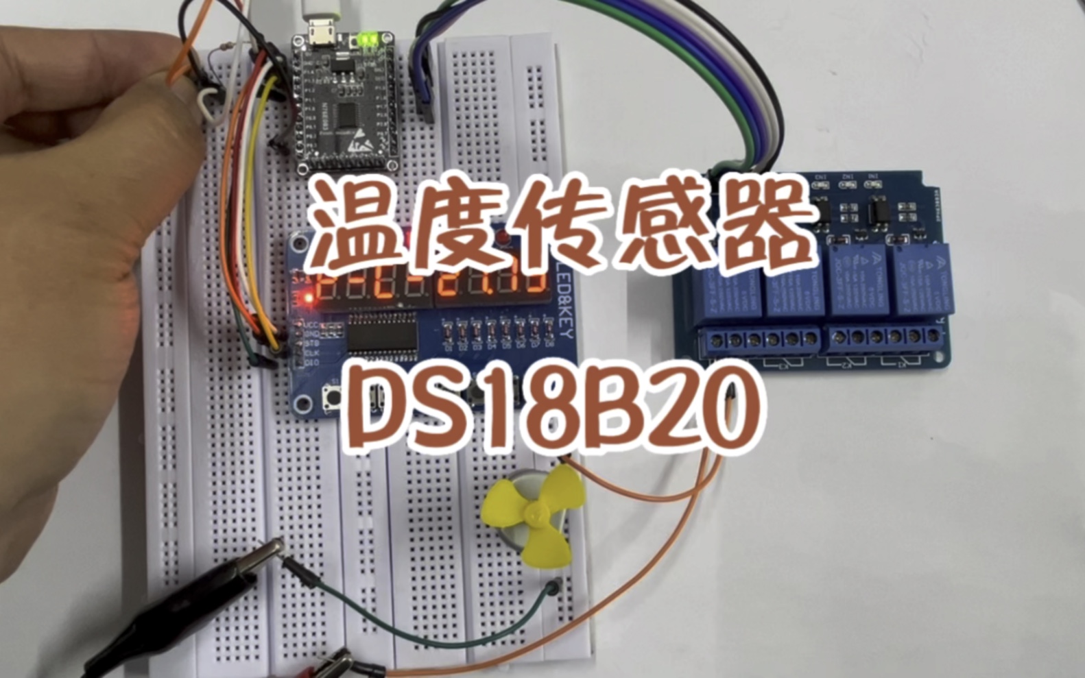 温度传感器DS18B20控制