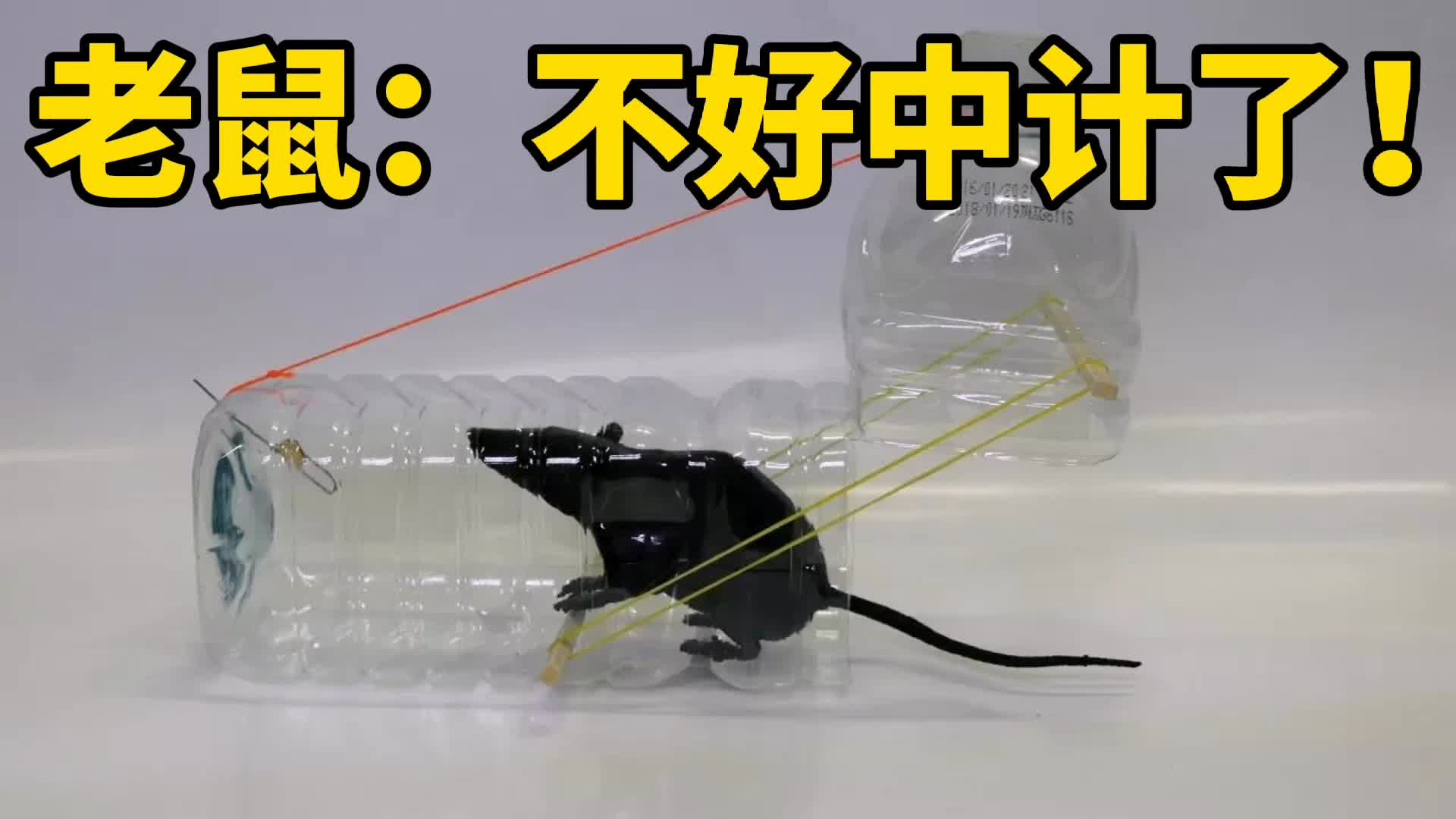 神发明矿泉水瓶活抓老鼠