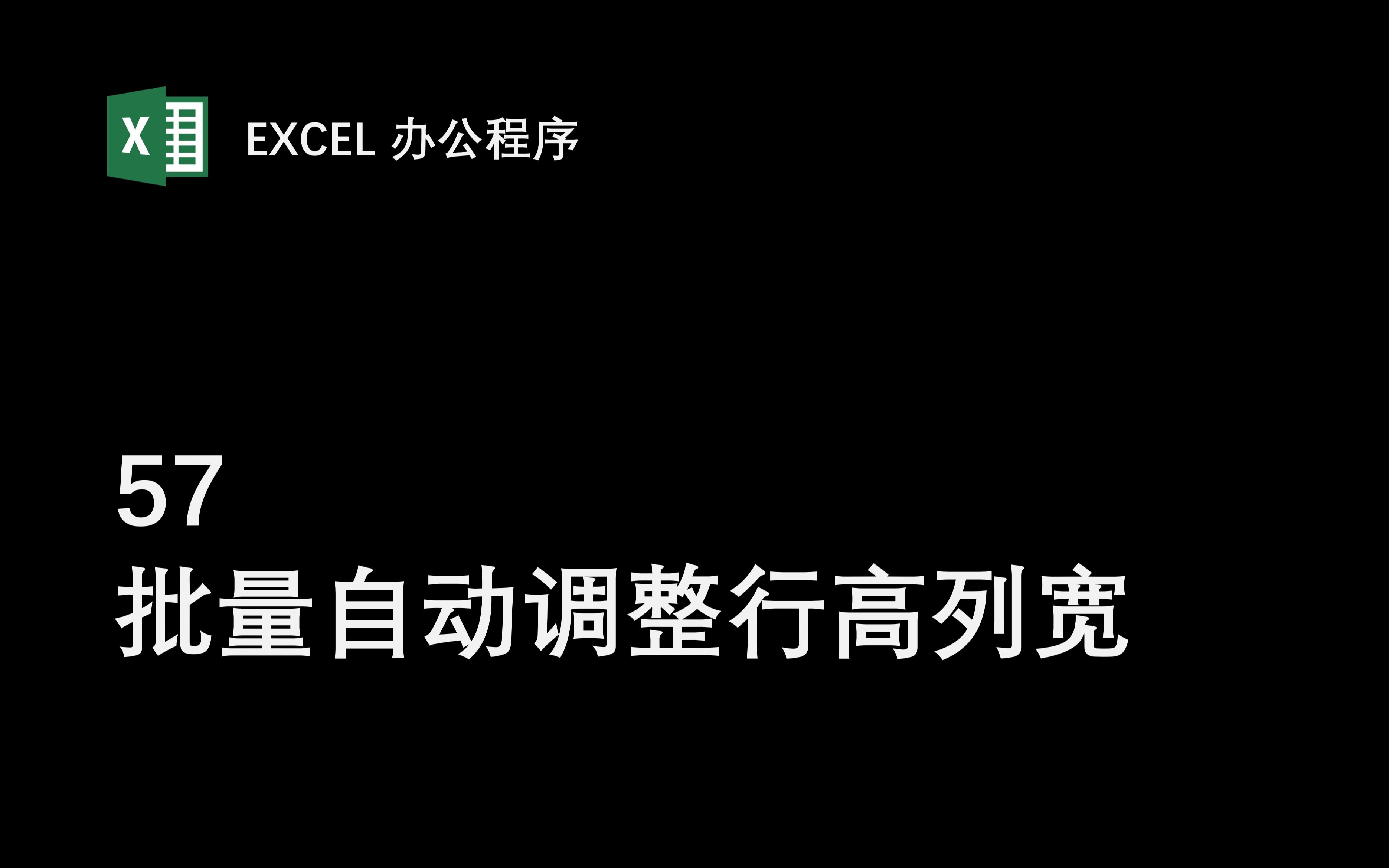 【57-批量自动调整行高列宽】Excel办公程序 VBA编程 数据批量处理 ...