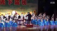 民乐合奏《凤阳花鼓》