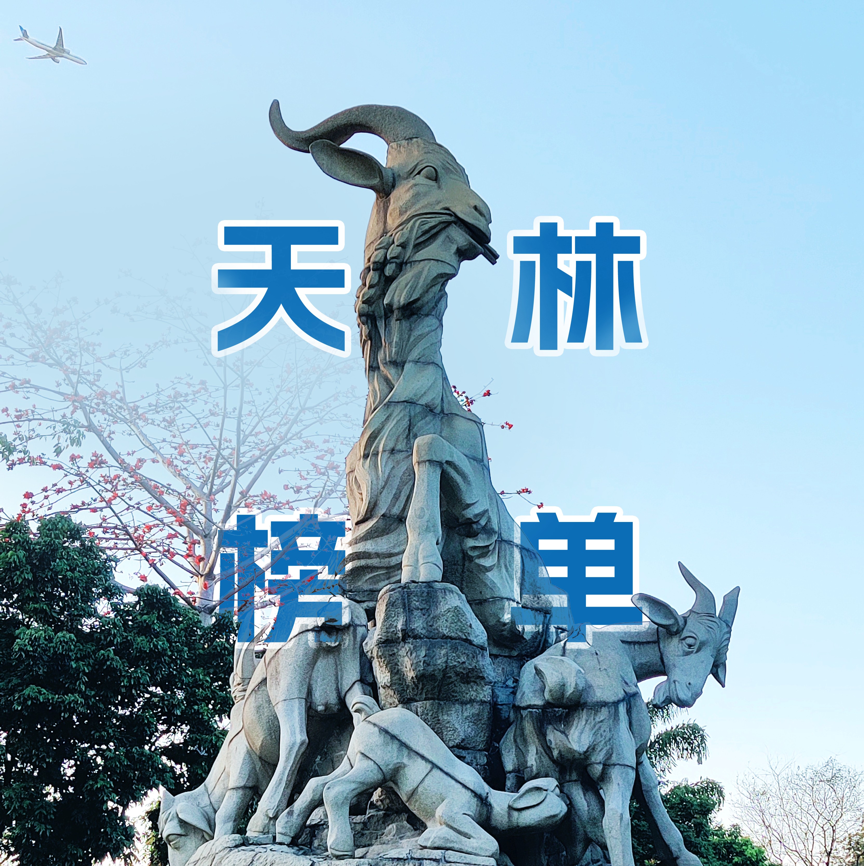 天林榜单 