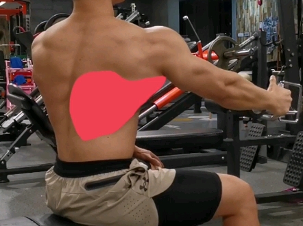 【绳索单臂划船】练背,打造倒三角身材!