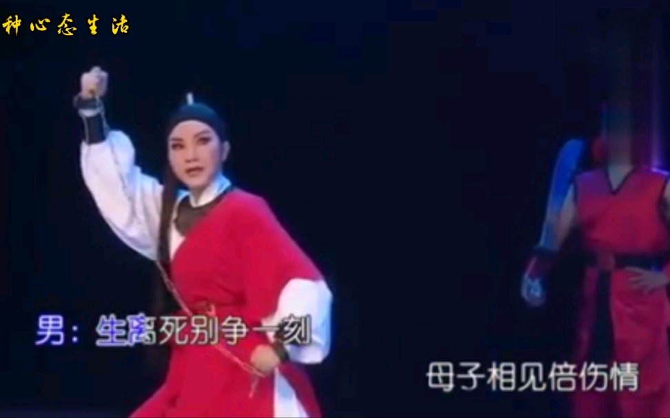 潮剧《秦英征西》唱段-亲奉甘旨待来生,林碧芳,刘小丽主演