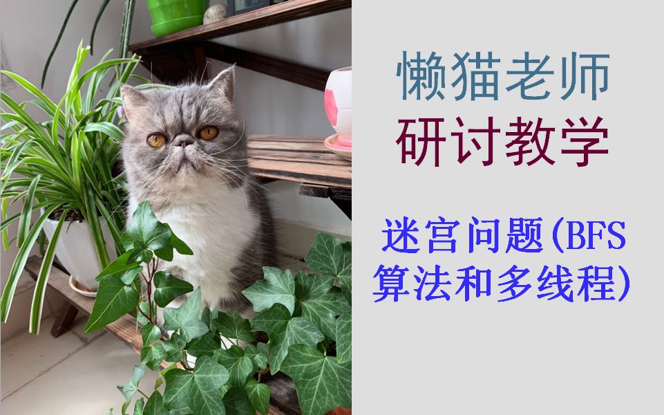 懒猫老师-数据结构-(55)迷宫问题(BFS算法和多线程)