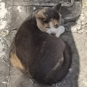 老陈老陈几点钟 