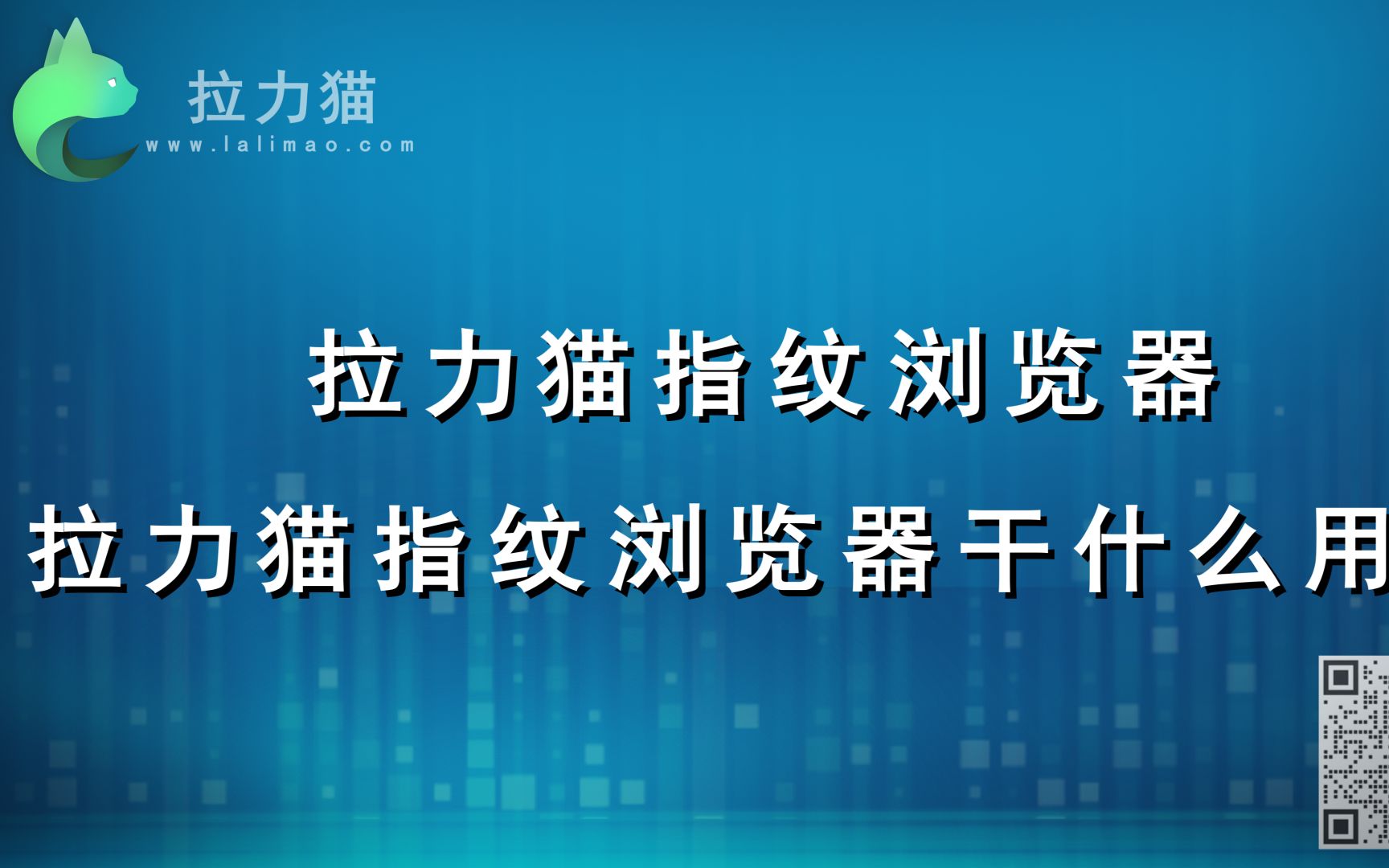 拉力猫指纹浏览器干什么用的?