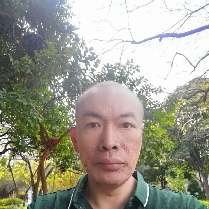 广东省林仕平 