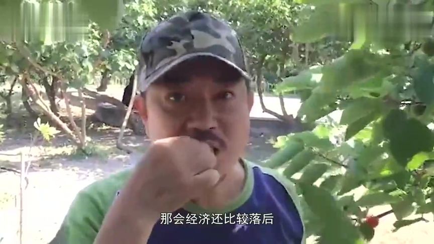 农村常见的构树上结的红果能吃吗?吃了对人体有好处吗?
