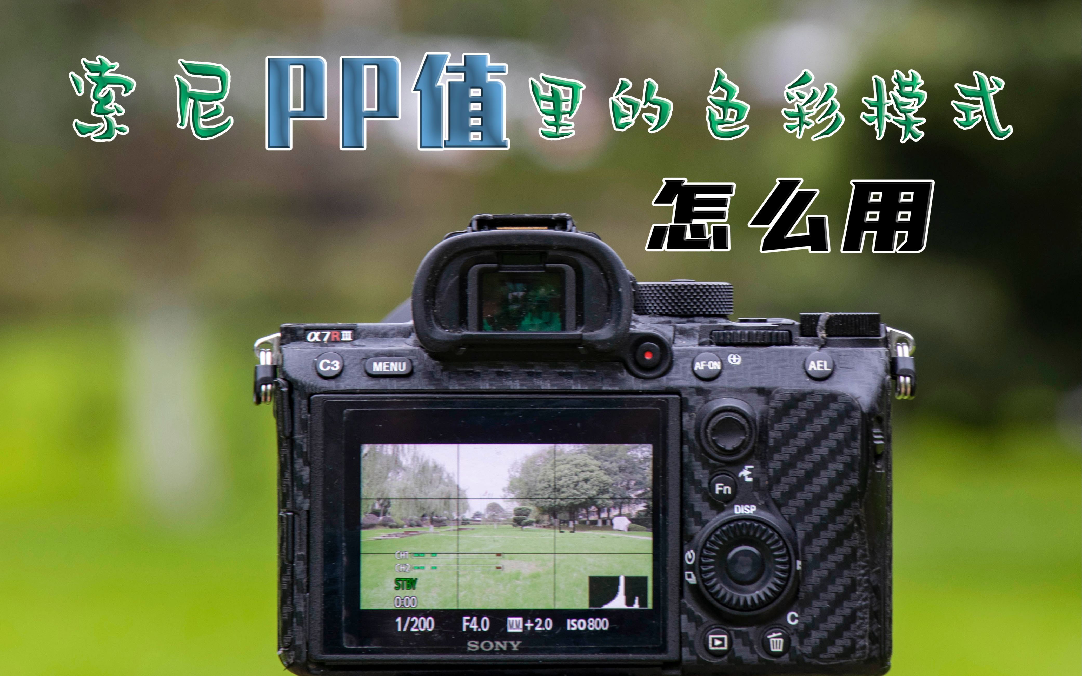索尼PP值里的色彩模式你了解吗 用好它 让你拍的视频色彩更鲜艳