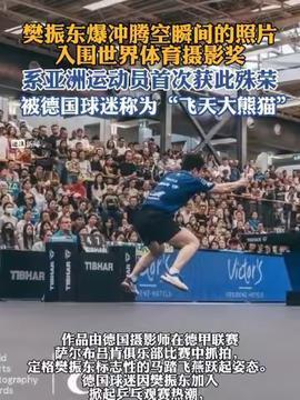 樊振东照片入围世界体育摄影奖。