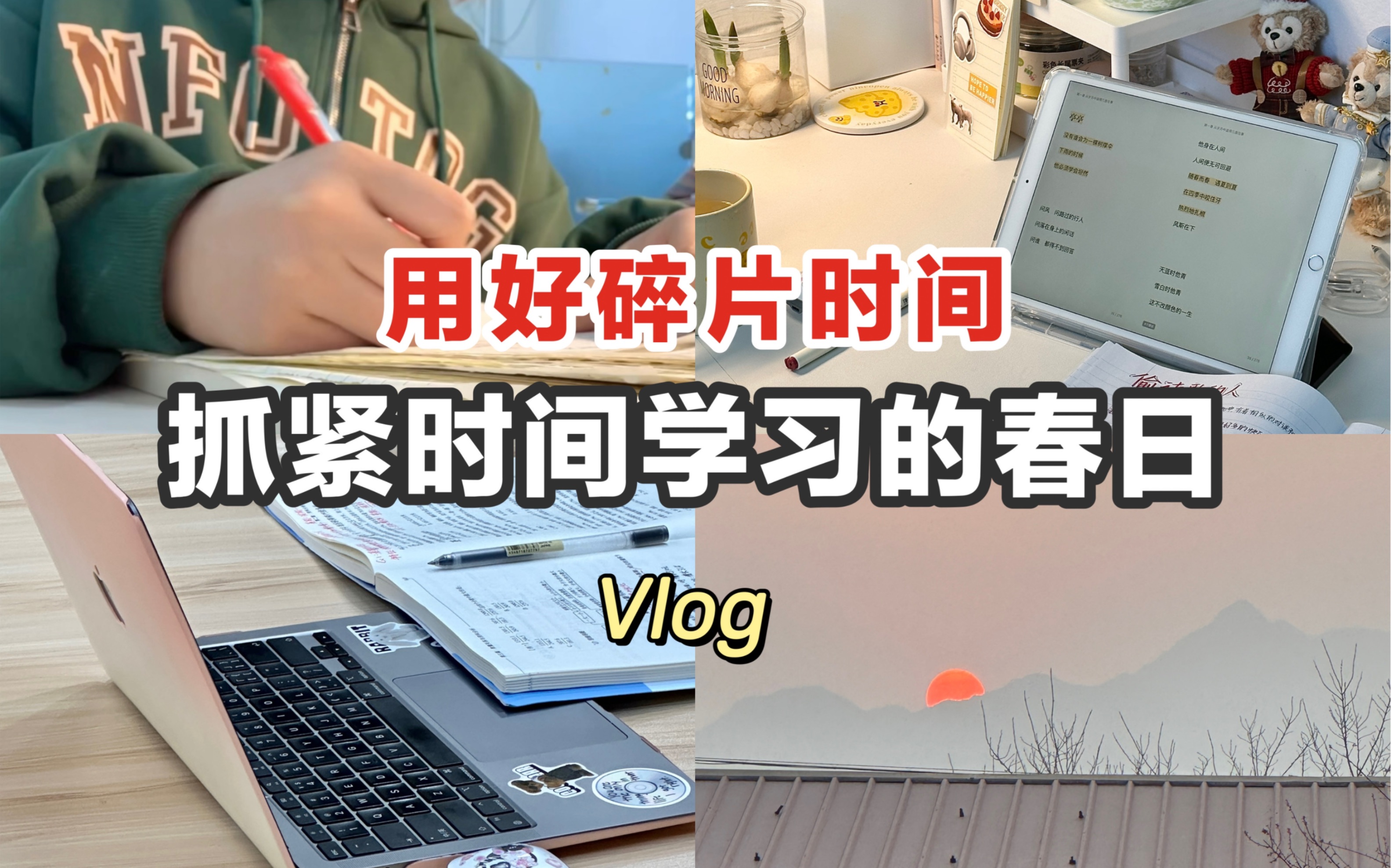 ...北京教研活动·当了百日誓师主持人·玉渊潭看樱花·海格蛋糕品鉴