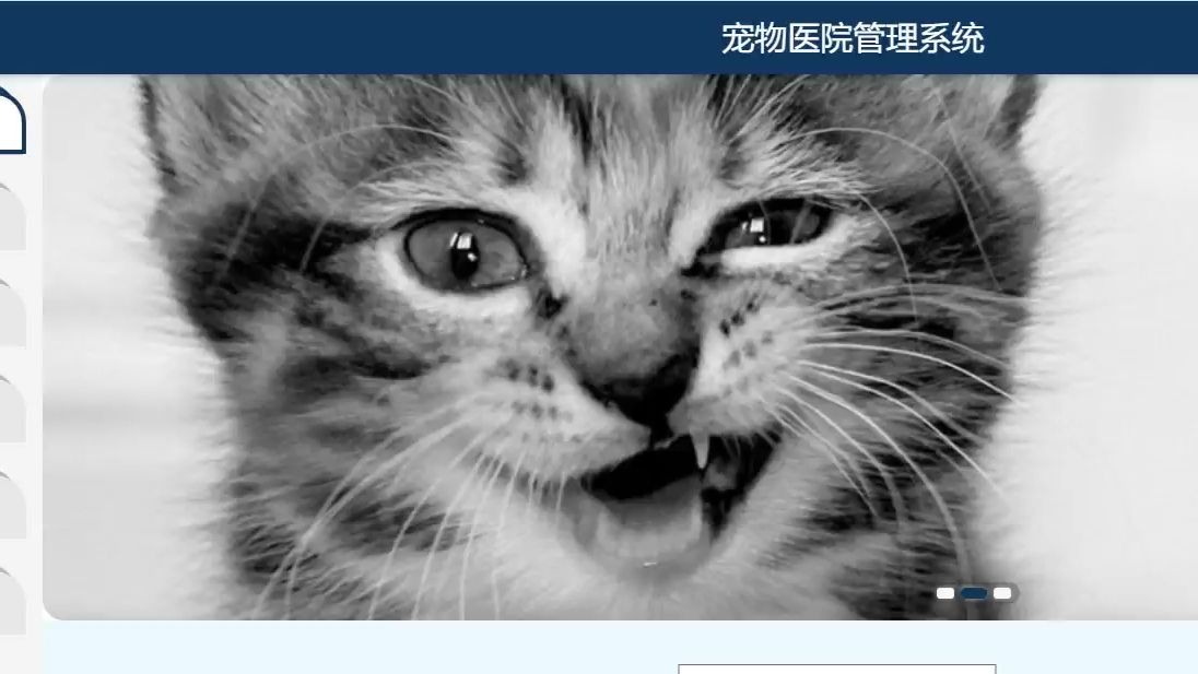 宠物医院管理系统演示