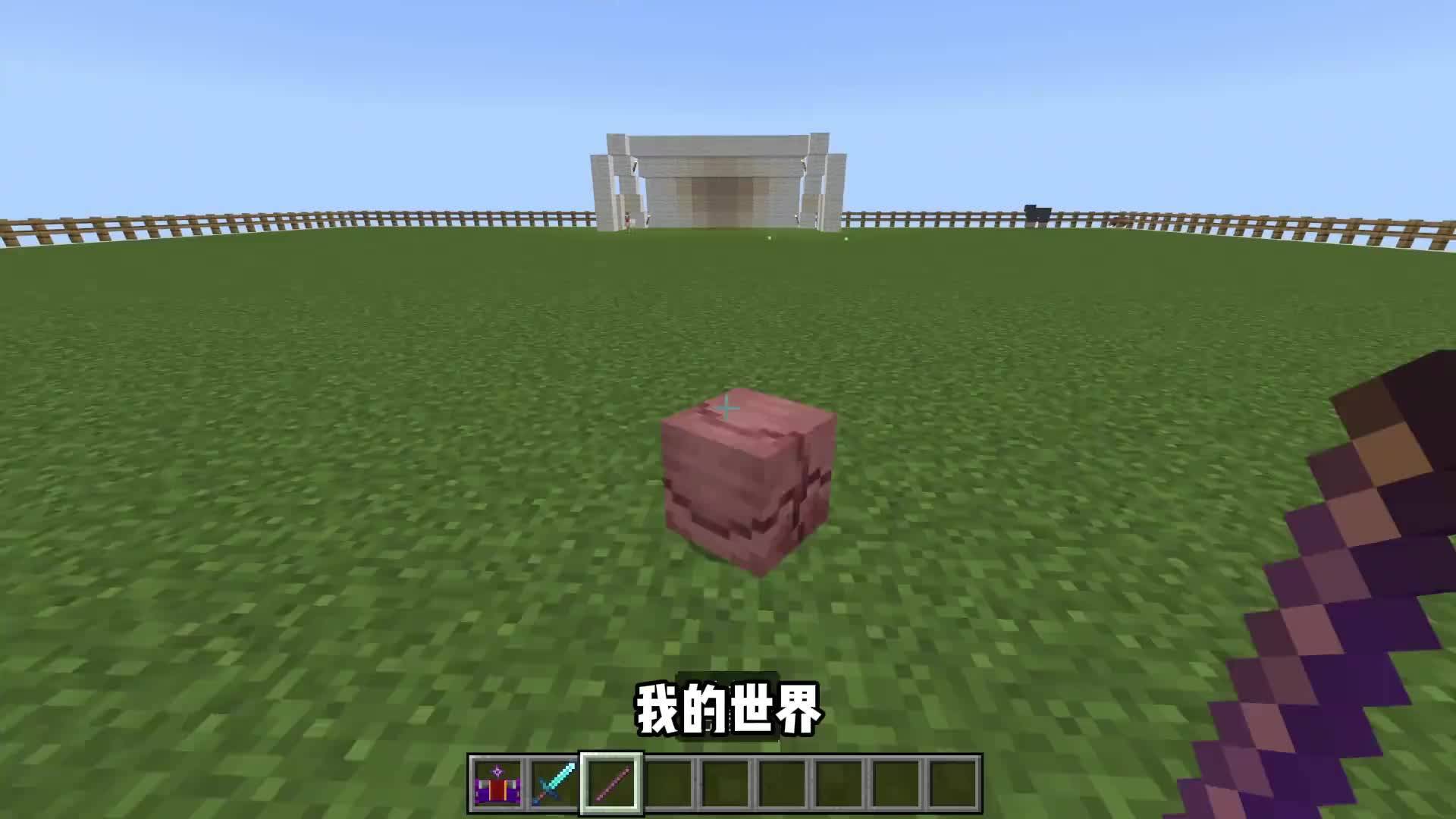 我的世界生存必备模组!有这款模组就能把犰狳当球踢?