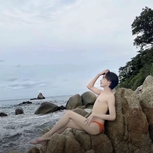 田木一笠 