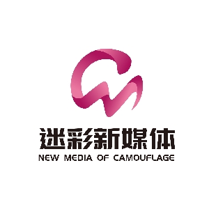 迷彩新媒体 