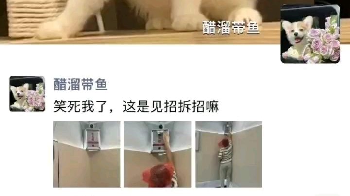 这个投诉非投不可吗