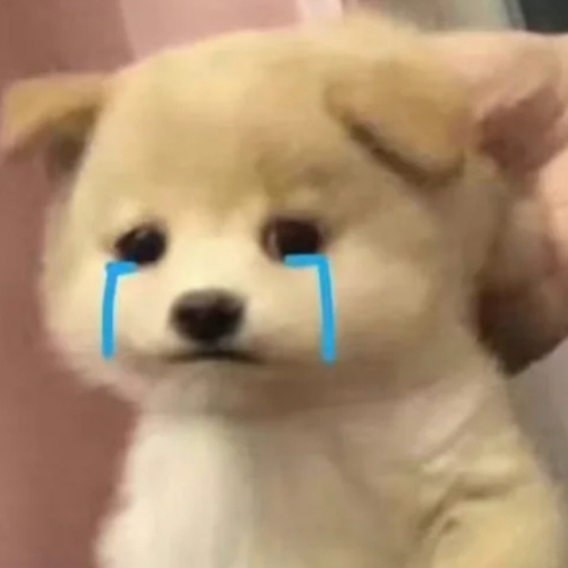 二酱哈哈哈 