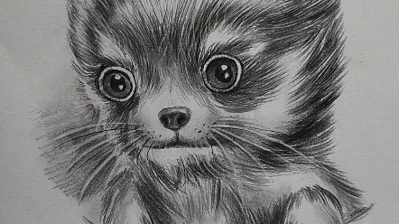 简单易学的素描动物画法 素描基础 素描入门动物