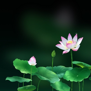 咽攘股钟虑elr 
