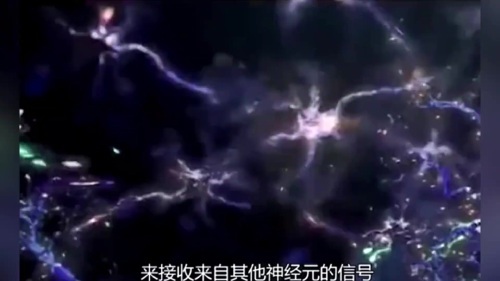 探秘大脑亿万神经细胞,信息传递背后的惊人奥秘是什么?