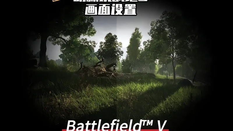 战地5 战地5萌新必调画面设置!轻松实现无后座力! 战地5攻略