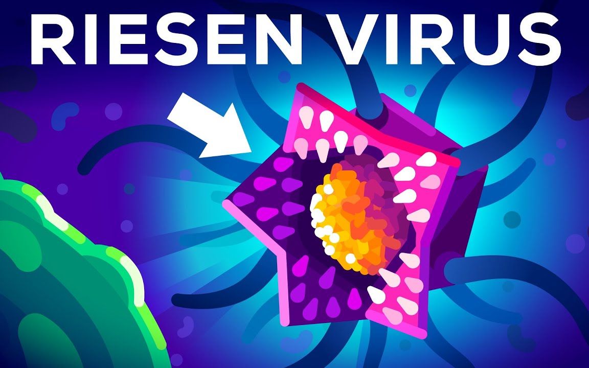 【德语科普视频】巨病毒,存在于我们身边的病毒性生物?"Girus"【附...