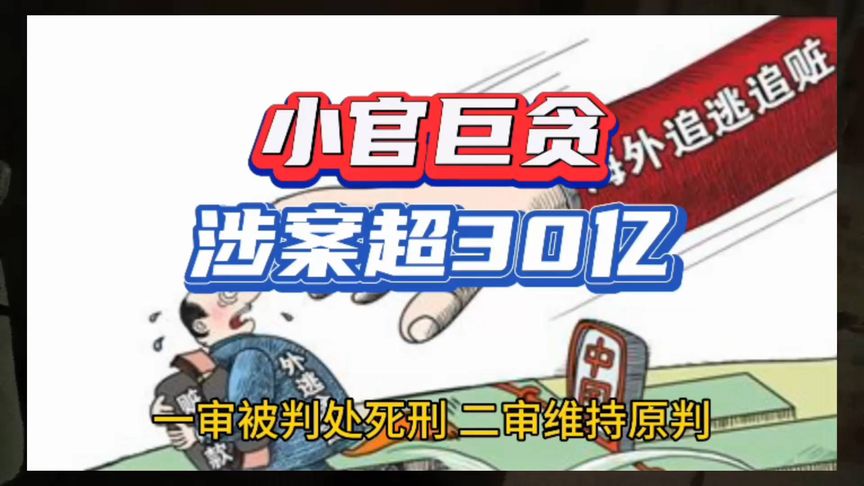 小官巨贪 涉案超30亿