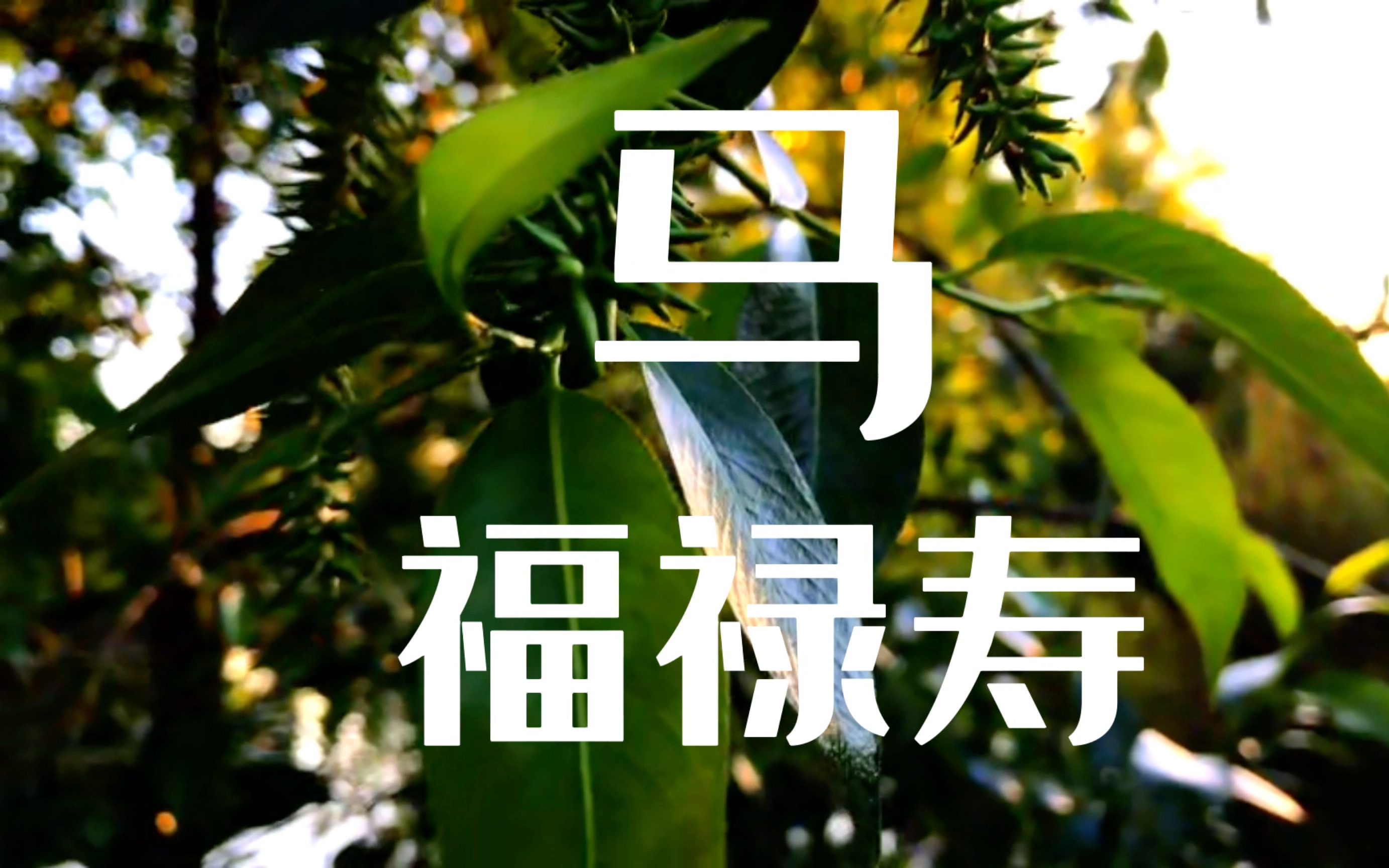 福禄寿《马》 “你说这风景如画,我看你心猿意马”