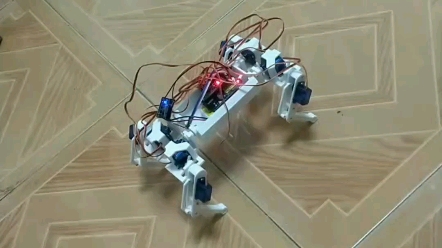 12自由度大体积四足测试