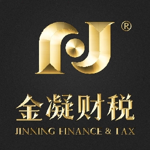 金凝财税 