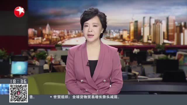 上海临港新片区:率先启动全国首个片区性人才企业年金计划