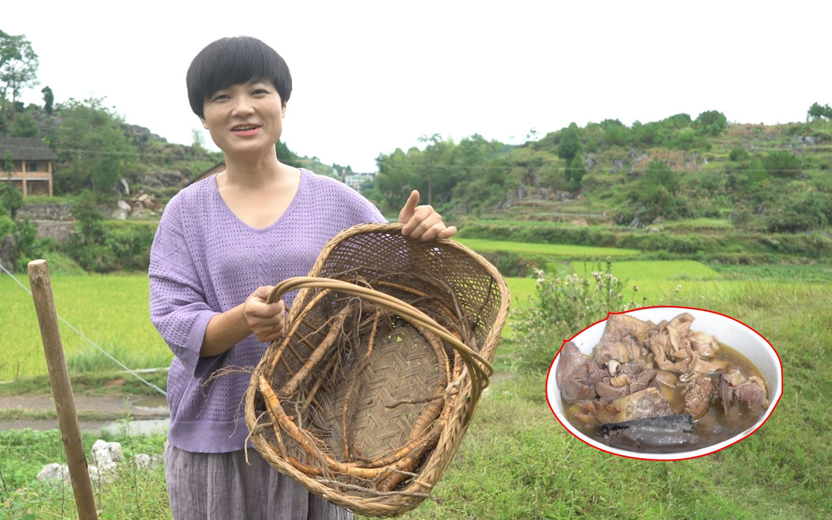 这是你从没见过的吃法,湖南媳妇的老桑树根炖鸡,香味浓郁营养高
