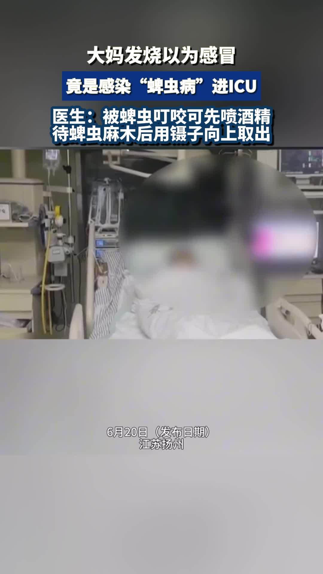 大妈发烧以为感冒,竟是感染"蜱虫病"进ICU