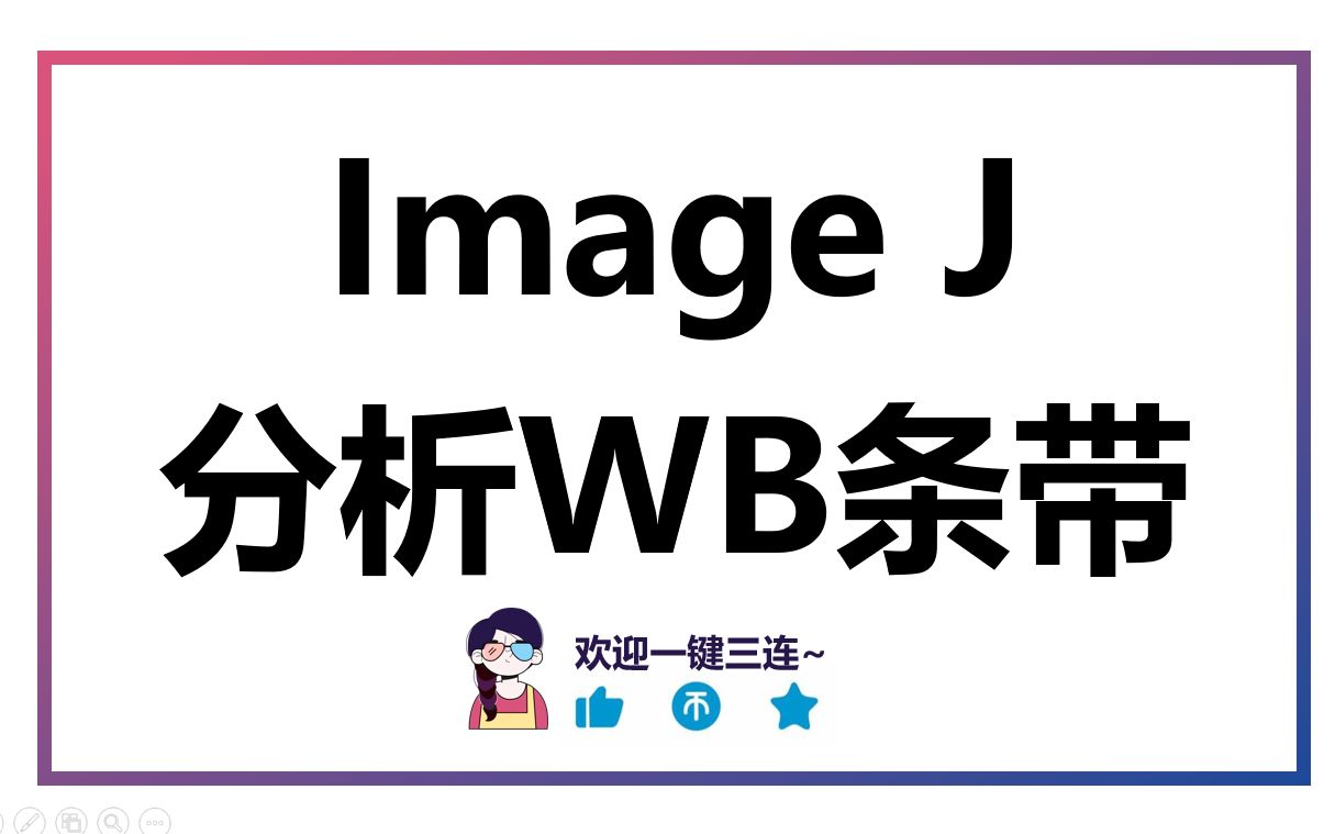 【WB】快速掌握Image J分析WB条带图,简单!