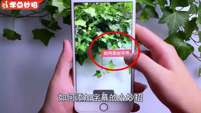 手机拍视频不会加字幕?教你一招,不下APP,方法简单