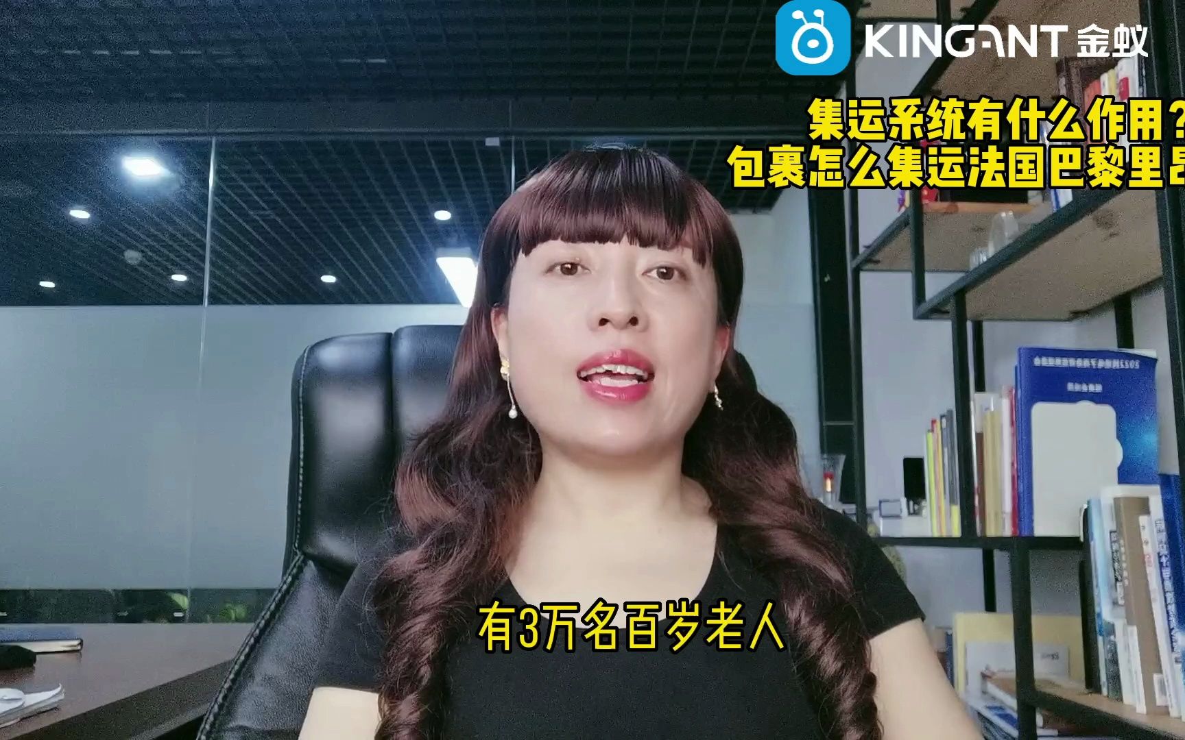 集运系统有什么作用?包裹怎么集运法国巴黎里昂呢?-金蚁