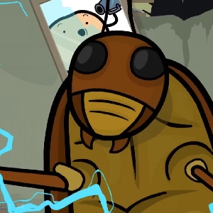 南方快乐大蟑螂 