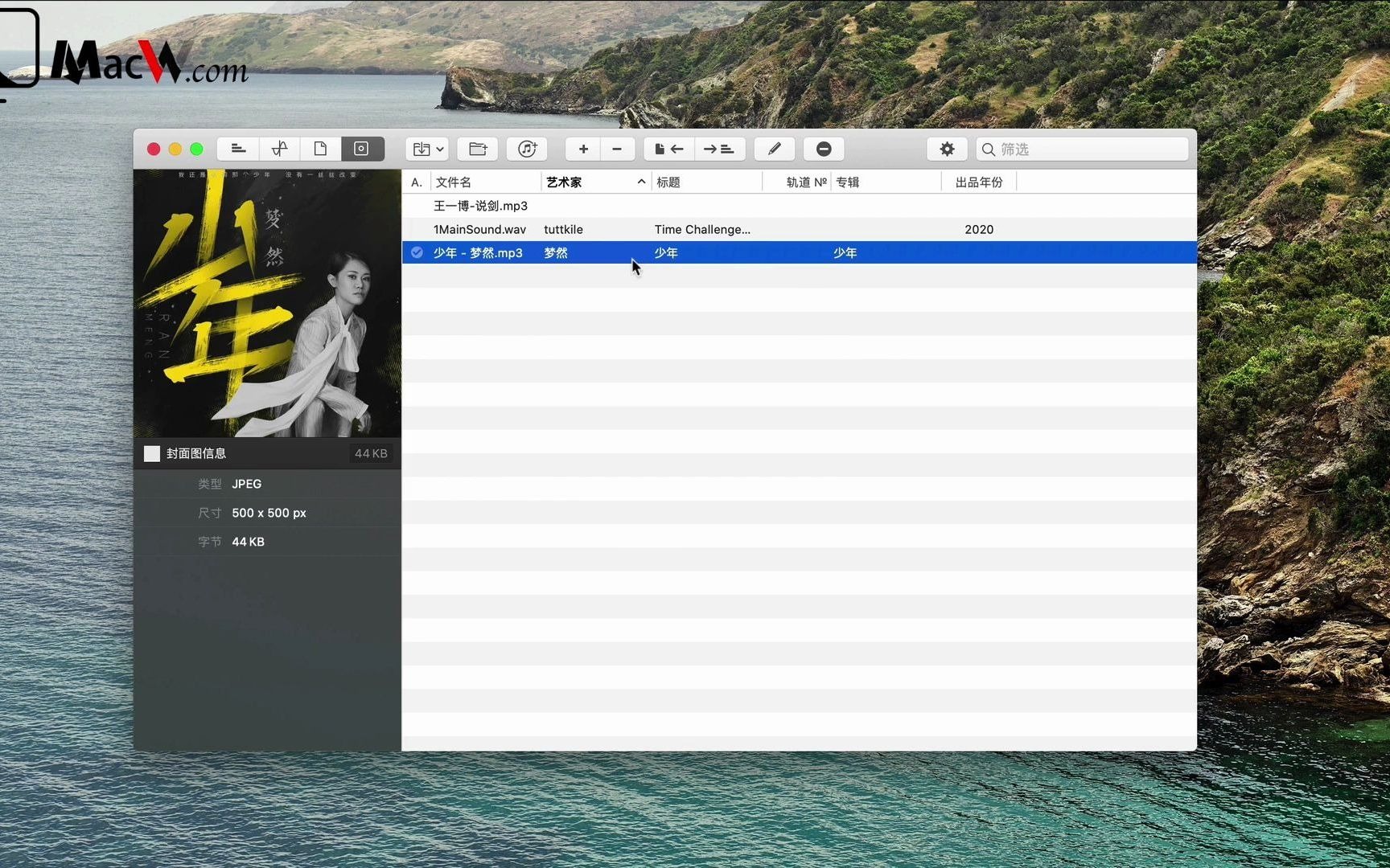 Meta for Mac(专业的音乐标签编辑器)