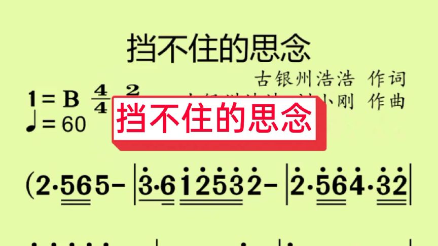 《挡不住的思念》二胡独奏曲