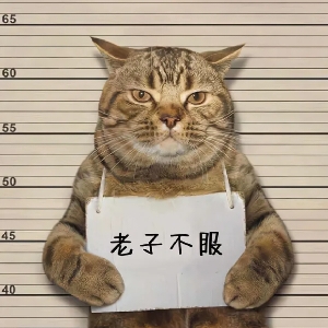 叶墨玄 