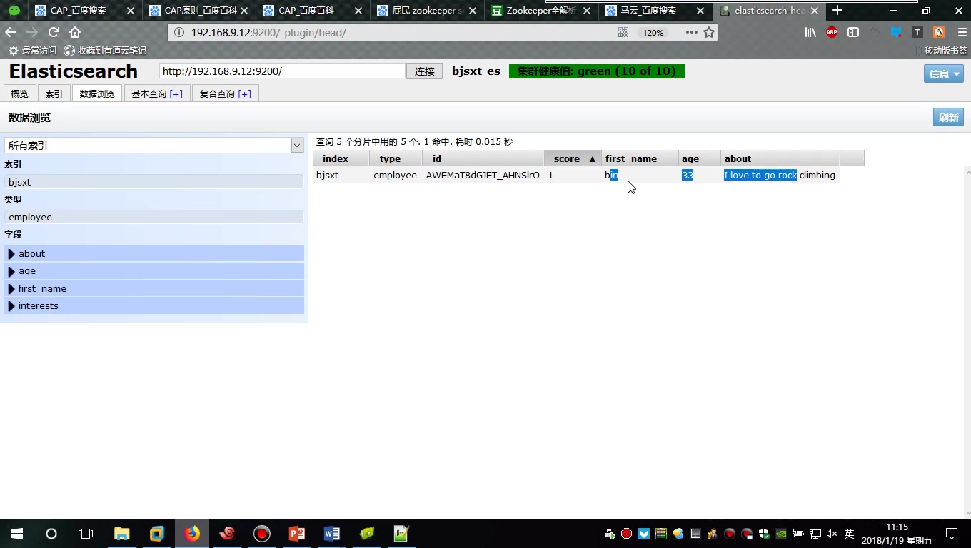 elasticsearch入门到精通