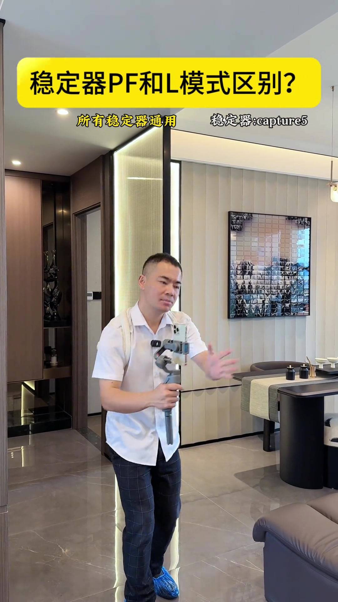 稳定器Pf and L模式有什么区别?