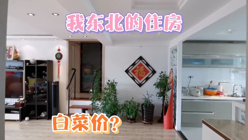 看看我东北白菜价的房子怎么样?和西双版纳对比一下