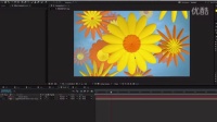 【AE教程】Trapcode Tao _三维几何图形插件新功能教程_02_调整和...