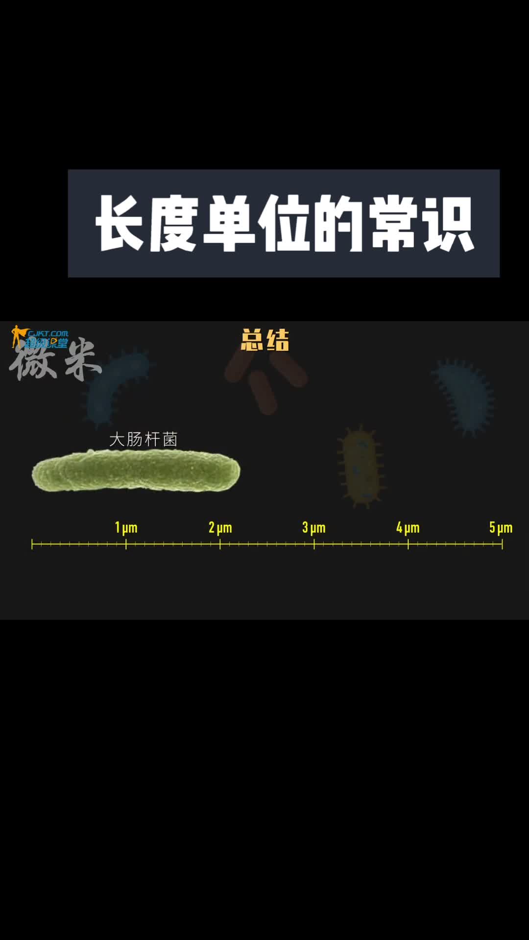 关于长度单位,你不得不知道的常识