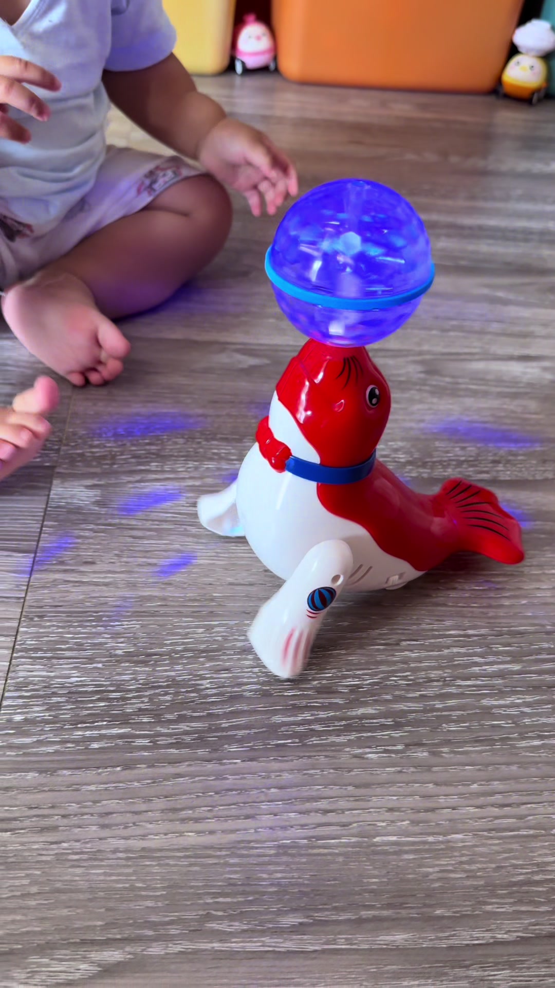 邻居家看到的,顶球旋转海狮,能360旋转,能爬行,练习抬头引导爬行#...