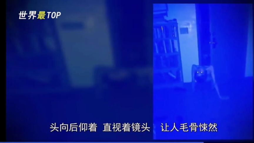 全球最恐怖的六张照片,让人不敢直视